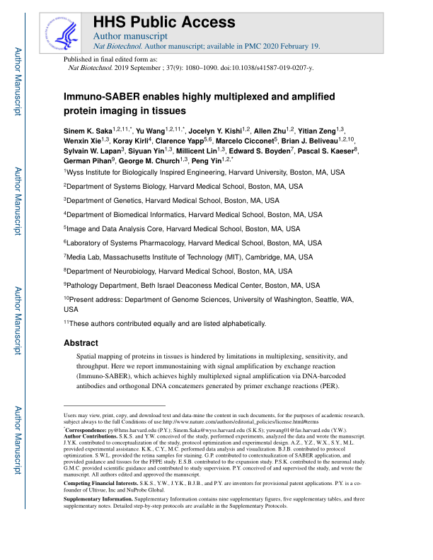 Immuno-SABER enables highly multiplexed and amplified protein imaging ...