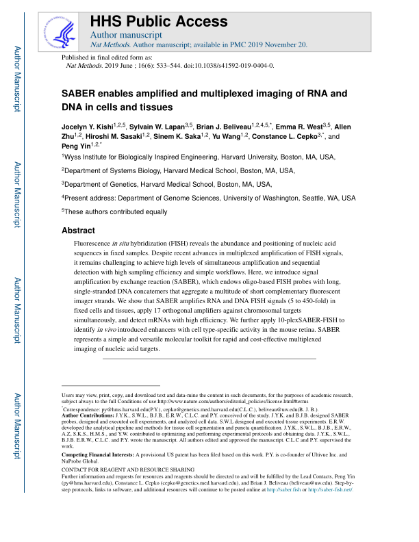 SABER amplifies FISH: enhanced multiplexed imaging of RNA and DNA in ...