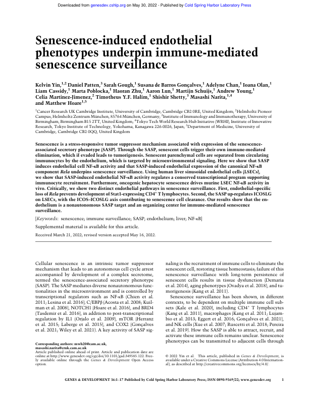 Senescence-induced endothelial phenotypes underpin immune-mediated ...