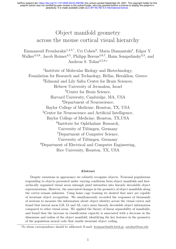 Object manifold geometry across the mouse cortical visual hierarchy