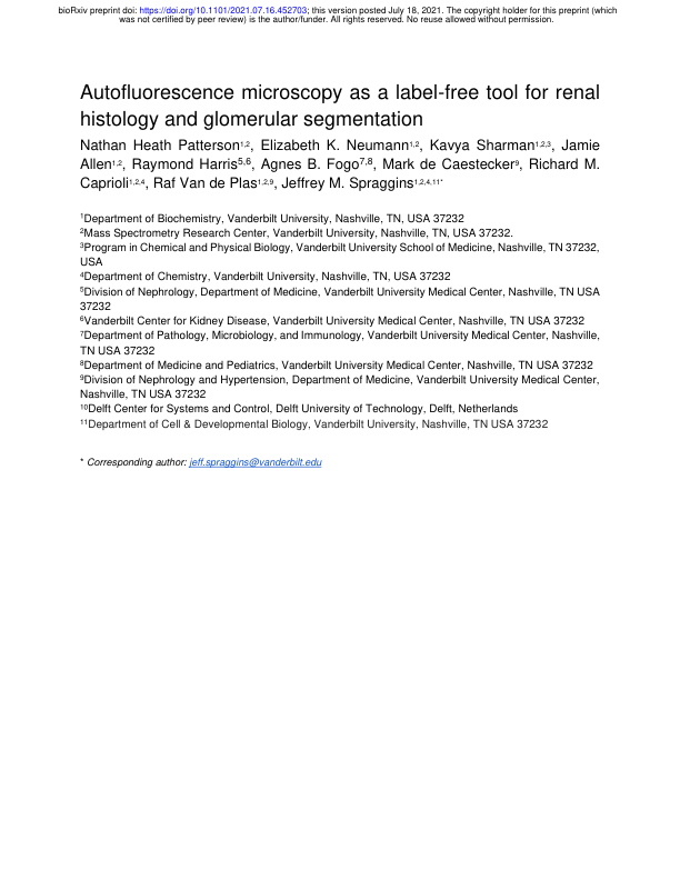 Autofluorescence microscopy as a label-free tool for renal histology ...