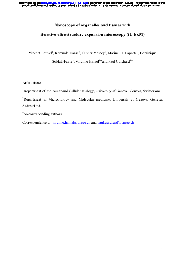 Nanoscopy of organelles and tissues with iterative ultrastructure ...