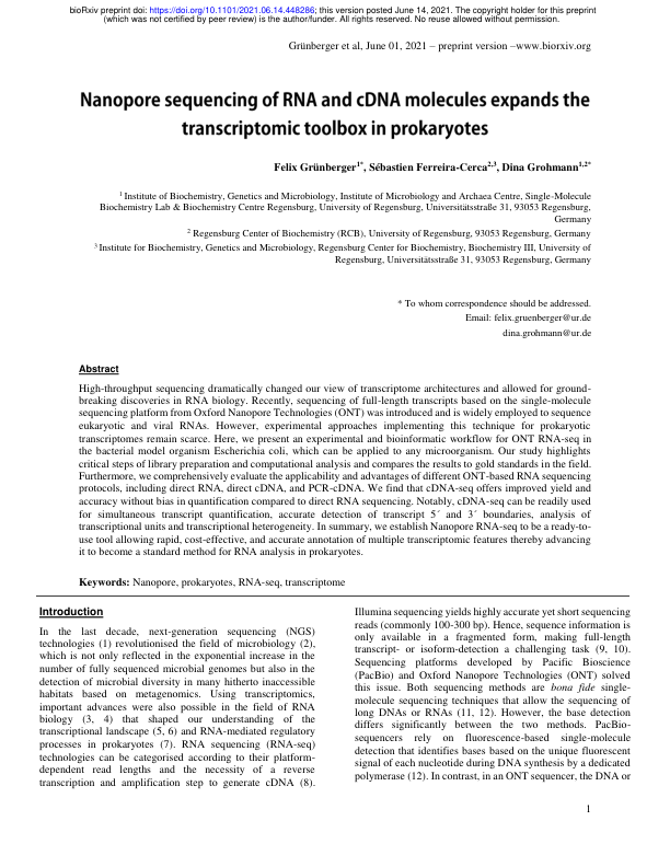 Insights into rRNA processing and modification mapping in Archaea using ...