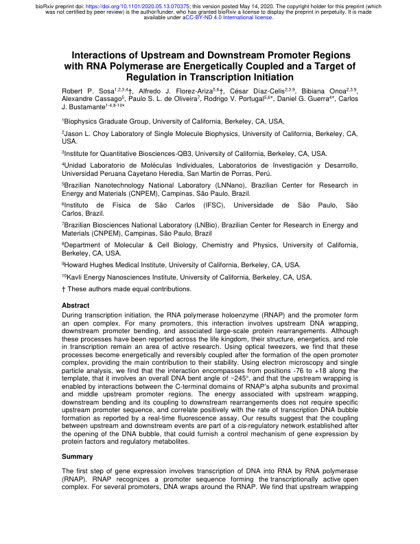 Interactions of Upstream and Downstream Promoter Regions with RNA ...