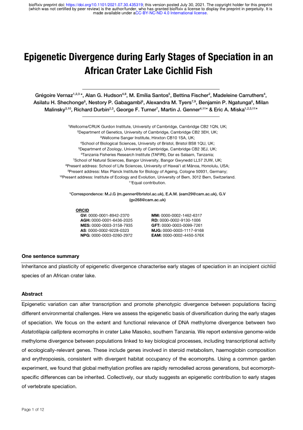 Epigenetic Divergence during Early Stages of Speciation in an African Crater Lake Cichlid Fish
