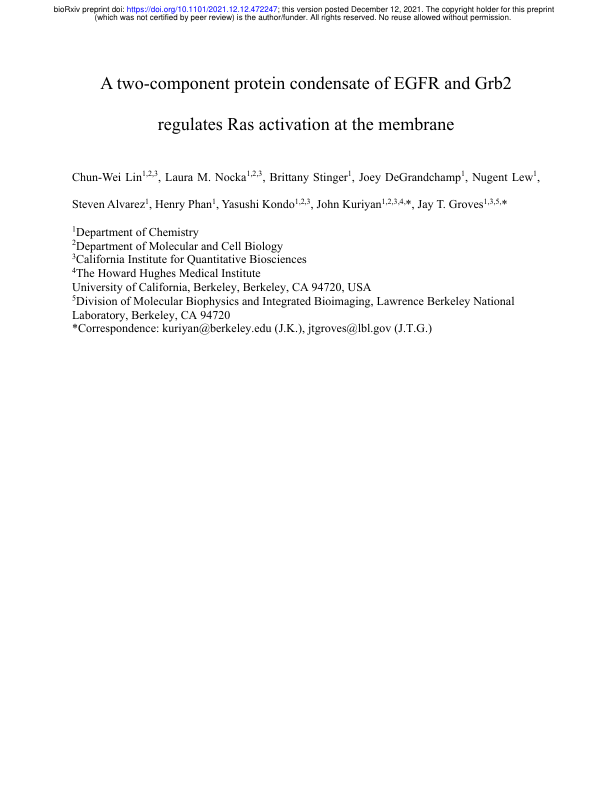 A two-component protein condensate of EGFR and Grb2 regulates Ras ...