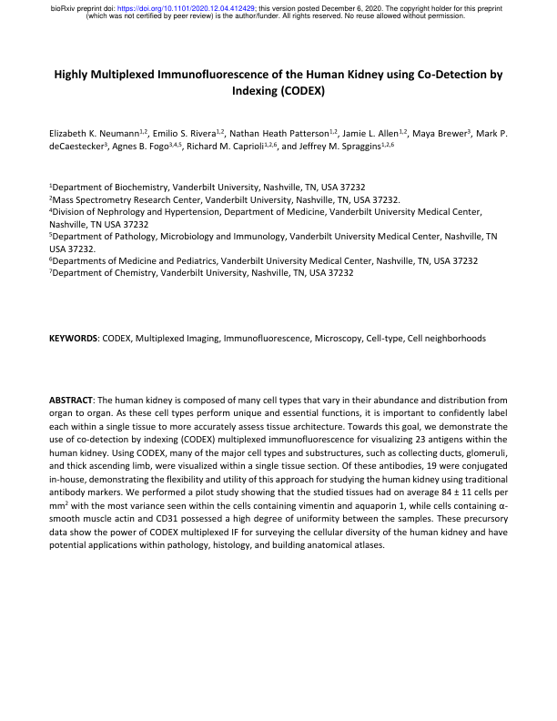 Highly Multiplexed Immunofluorescence of the Human Kidney using Co ...