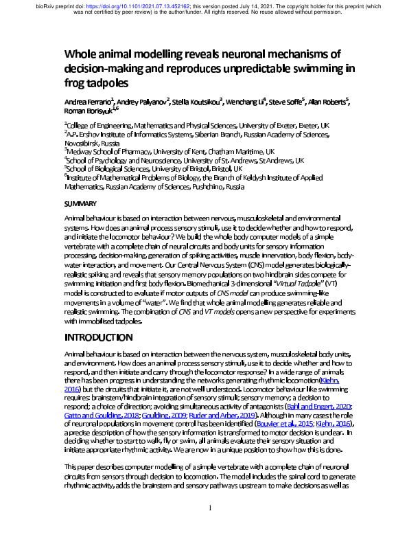 Whole animal modelling reveals neuronal mechanisms of decision-making ...