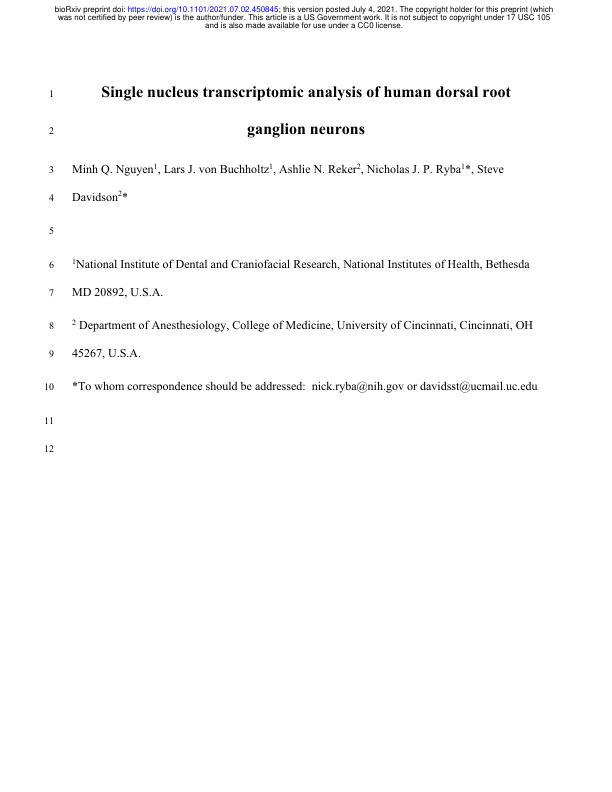 Single nucleus transcriptomic analysis of human dorsal root ganglion ...