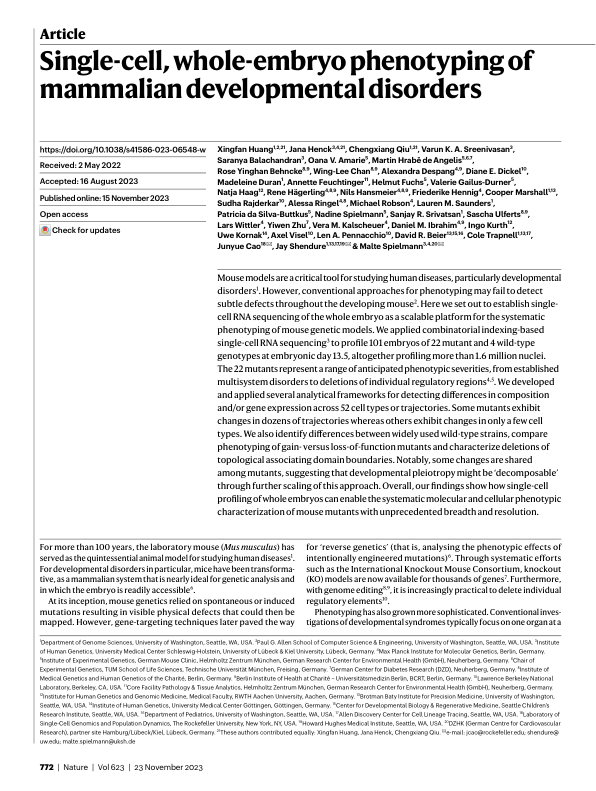 Single-cell, whole-embryo phenotyping of mammalian developmental disorders