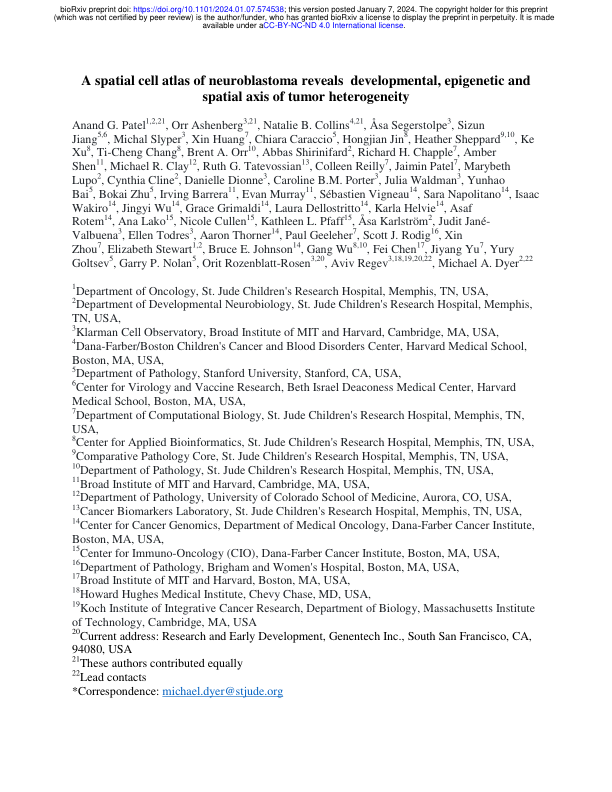 A spatial cell atlas of neuroblastoma reveals developmental, epigenetic ...