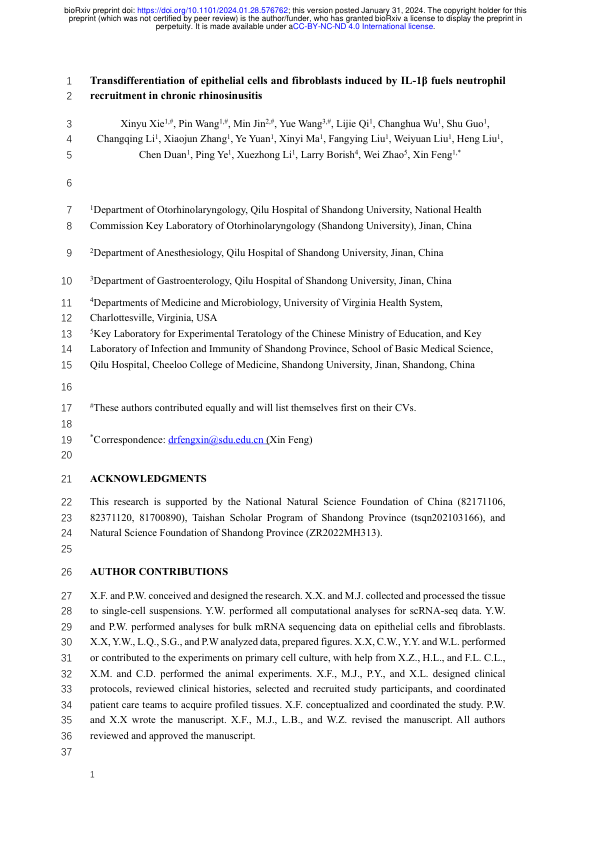 Transdifferentiation of epithelial cells and fibroblasts induced by IL ...